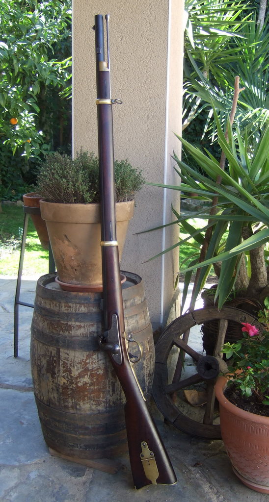 Armas de Fuego: minié