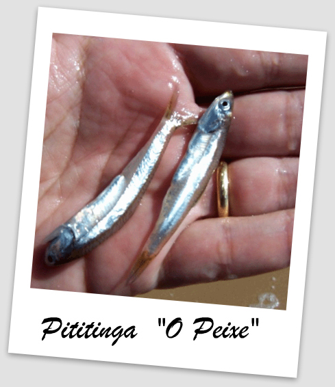 Impressões e Confissões: Saudade de Pititinga
