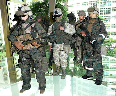 toyhaven: 1/6 warriors in Iraq, 2003