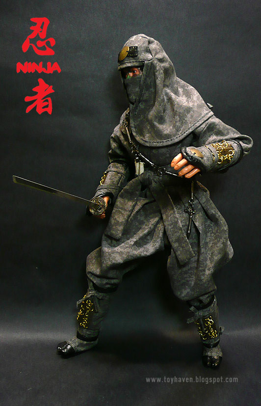 toyhaven: Crazy Owners Camouflage Ninja REVIEW II
