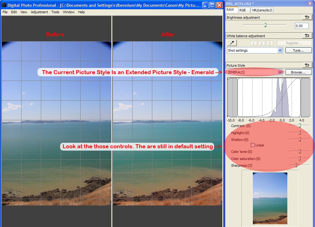 How to use the Extended Picture Style with Digital Photo Professional ...