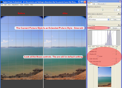 How to use the Extended Picture Style with Digital Photo Professional ...
