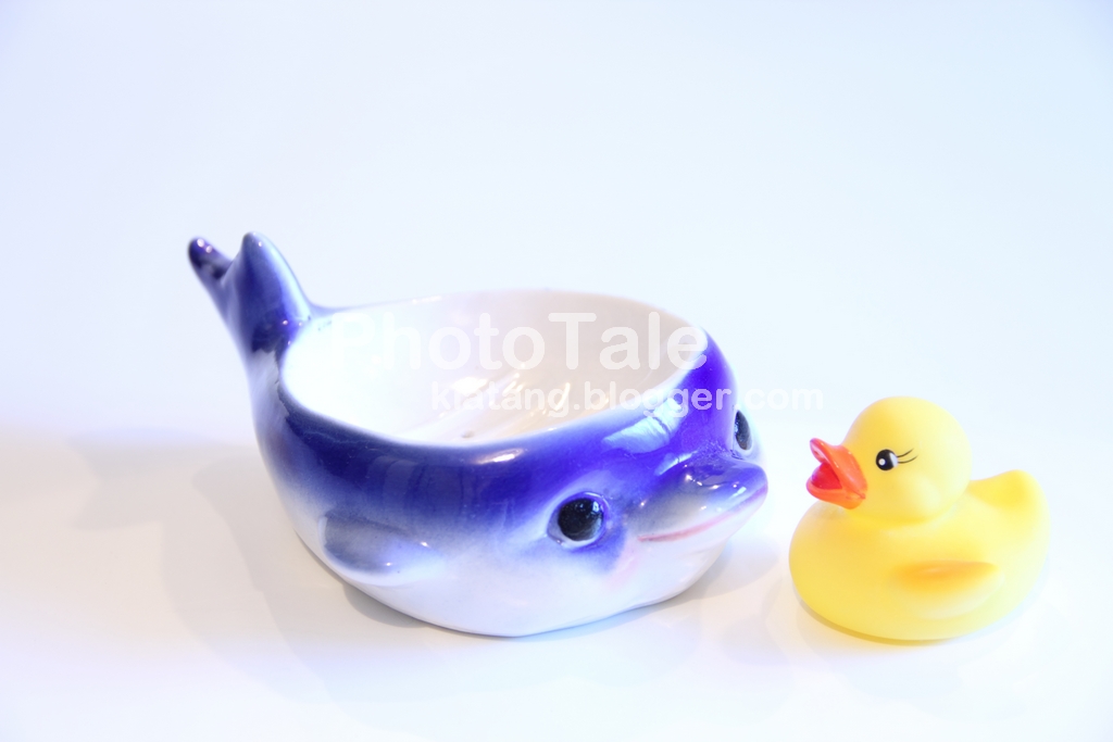 Rubber Duck Picture Story - Beginning of Ducky | PhotoTale