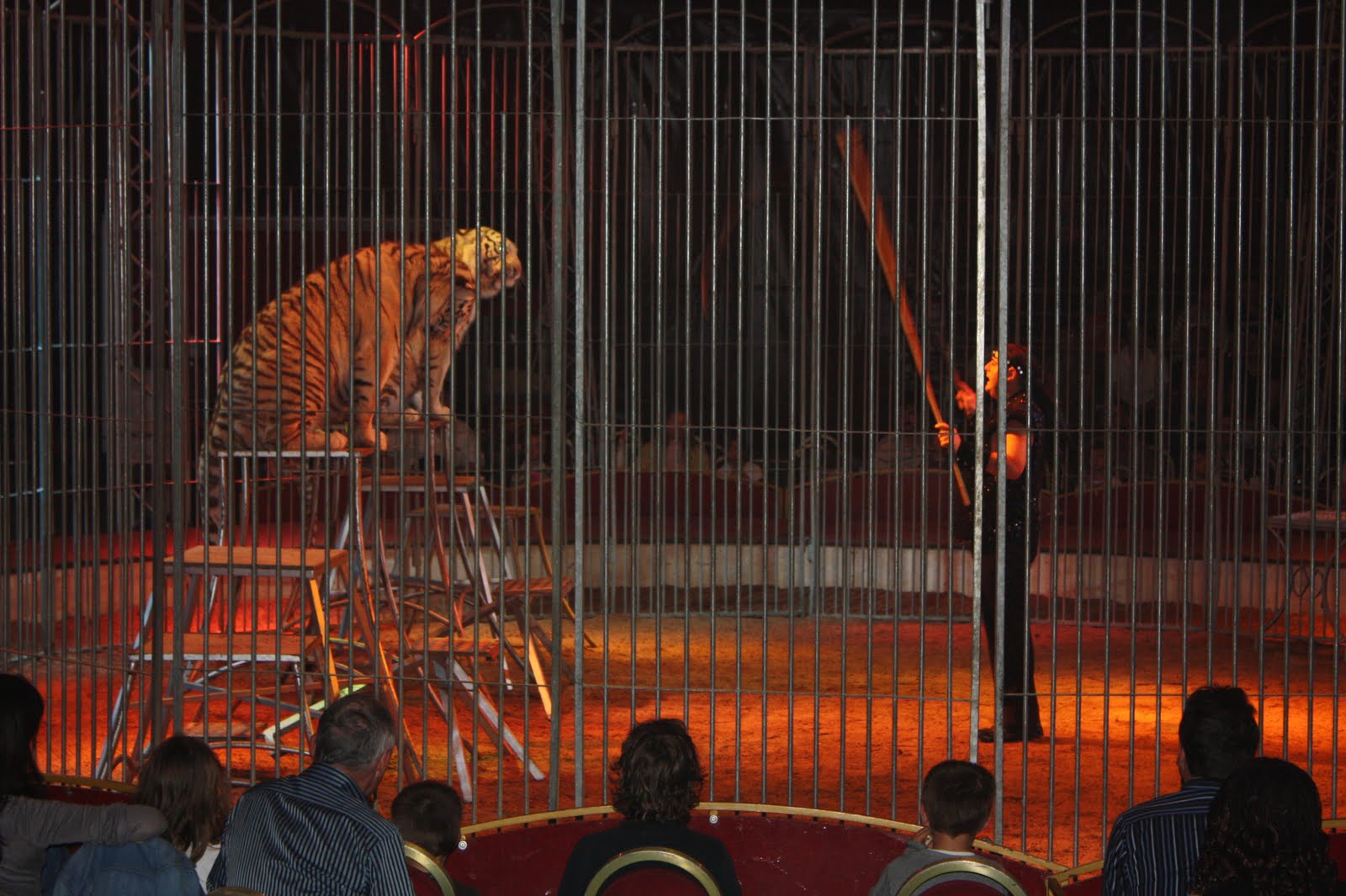 Le Blog de petit Paul & d'Arthur: C'est quoi ce cirque