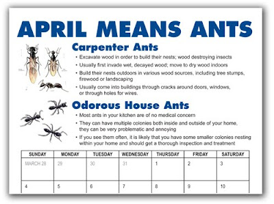 Royal Pest: APRIL MEANS ANTS CALENDAR