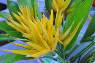 All That's Left Are The Crumbs: To Market, To Market - Part 2 (Flowers)