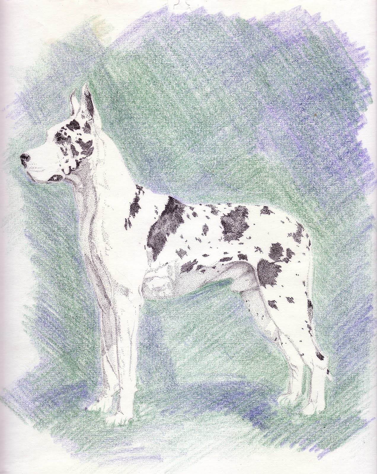 Animal Art by Jeannie: Drawings from years ago