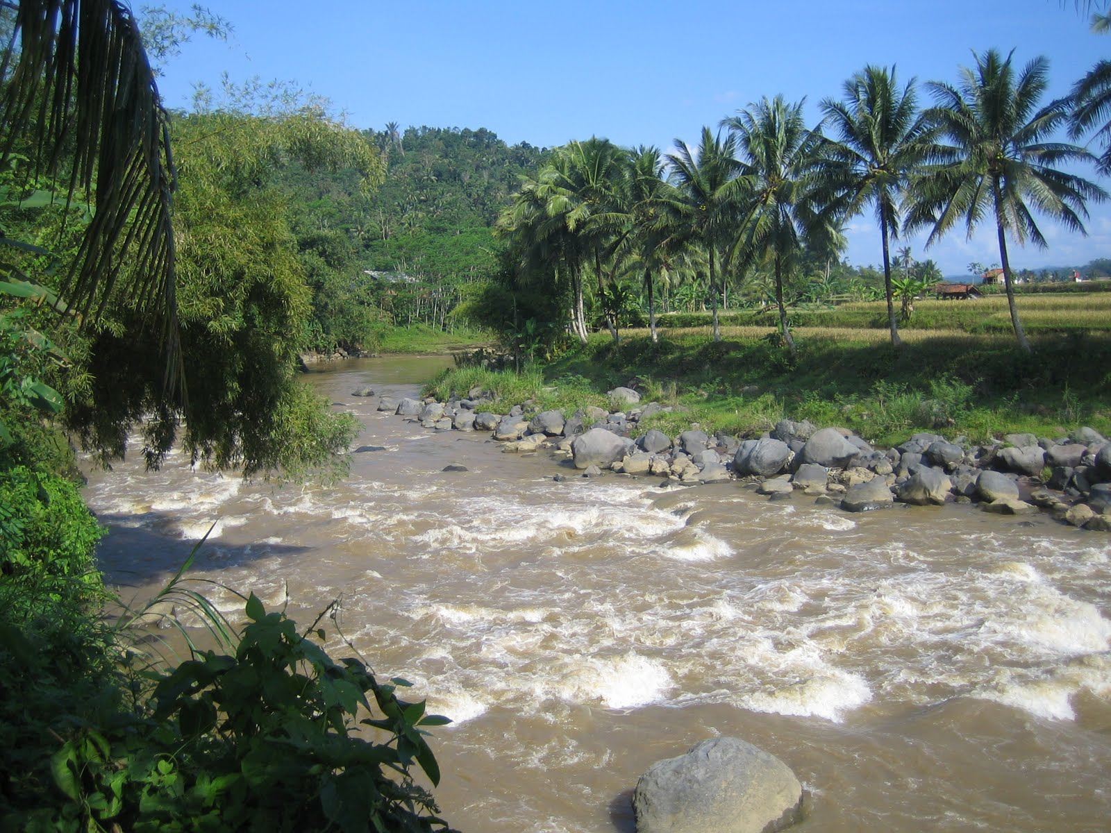 Desa Leuwiliang, Kawalu, Kota Tasikmalaya
