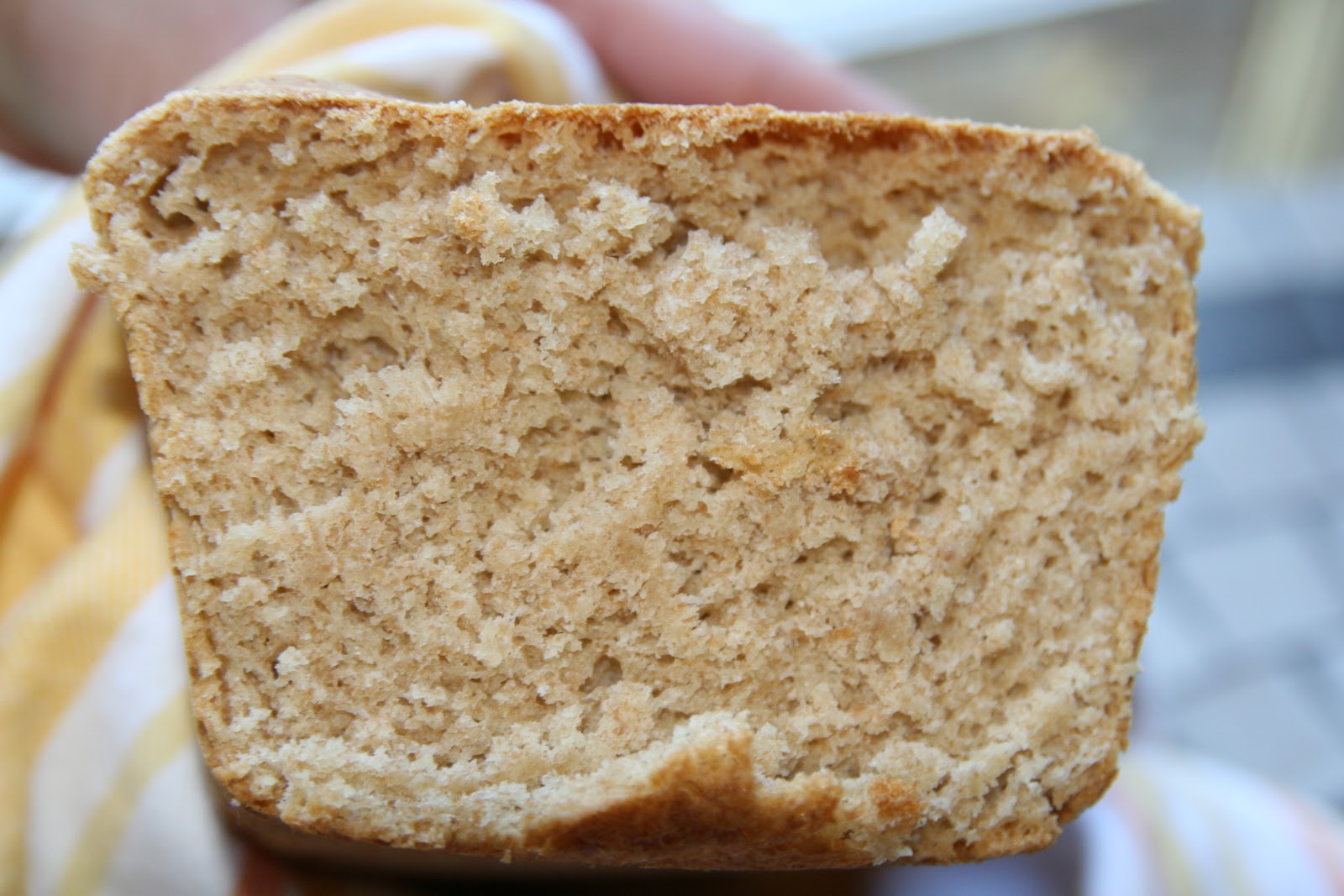 Haystacks & Champagne: Soft Whole Wheat Bread--Easy & Good