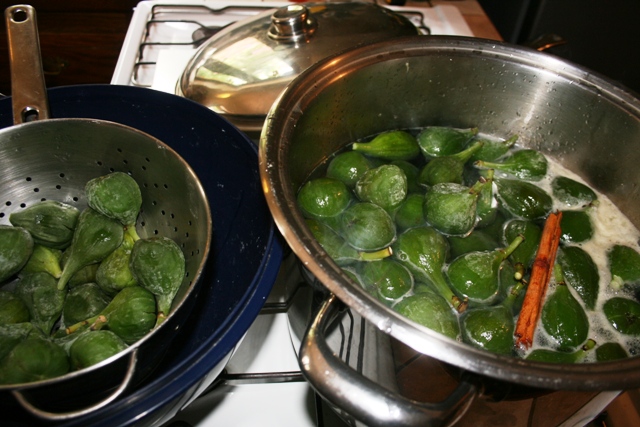Preserved Green Figs