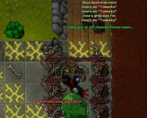 ~Espiritu de Guerreros~: Fotos~Tibia