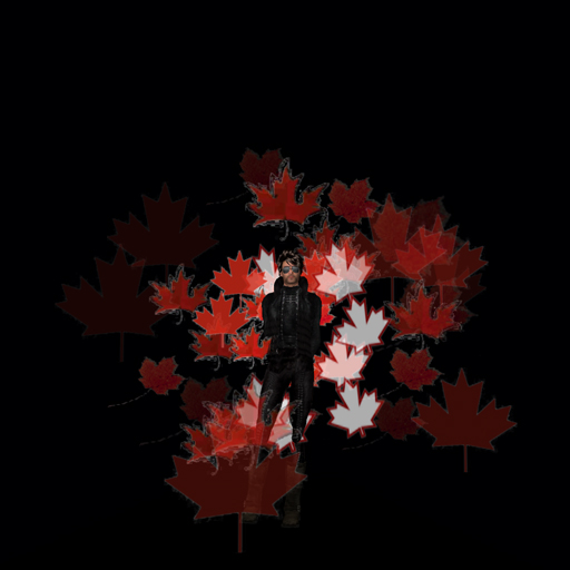 Second Effects: I Am Canadian!