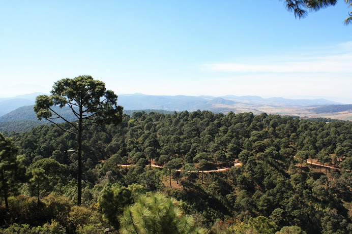 el corazón de la sierra del tigre.