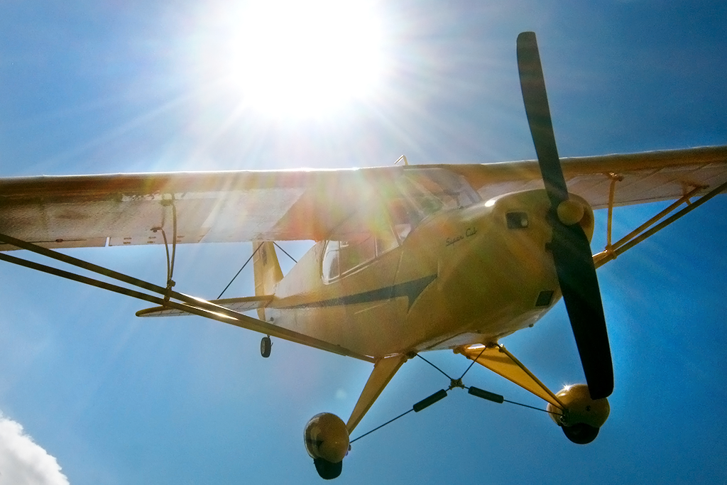 super cub vector art