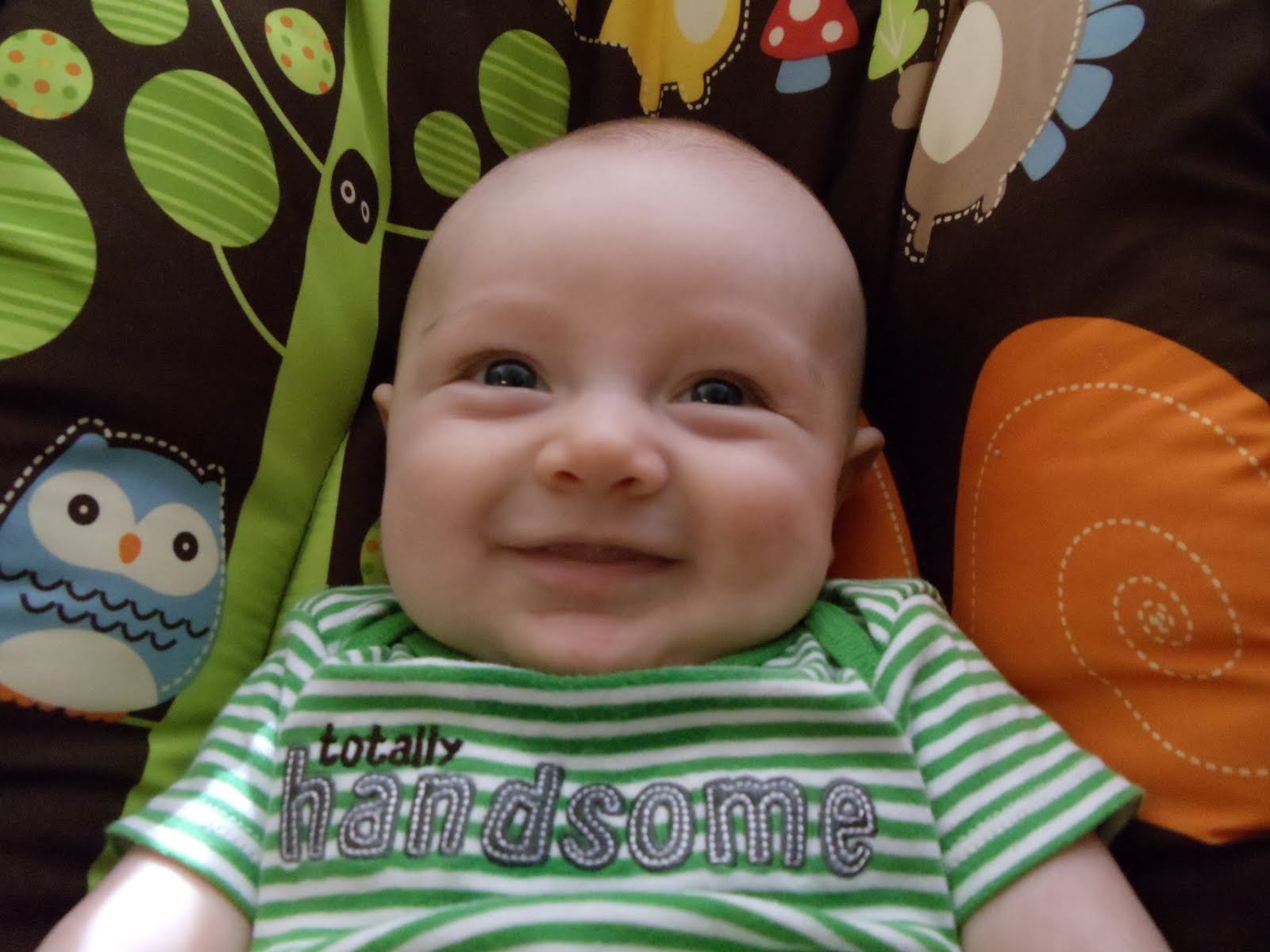 Brad and Barb Cahoon Family