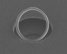 Great Jewelries: The World's Smallest Diamond Ring