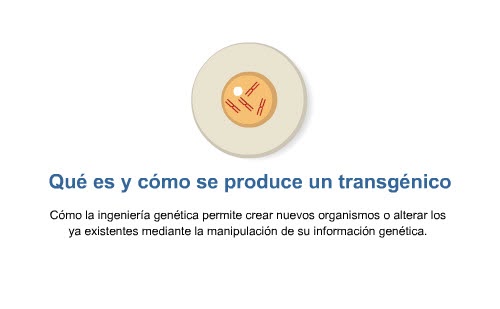 Avibert: Qué es y Cómo se produce un Transgénico? Tecnología de los ...
