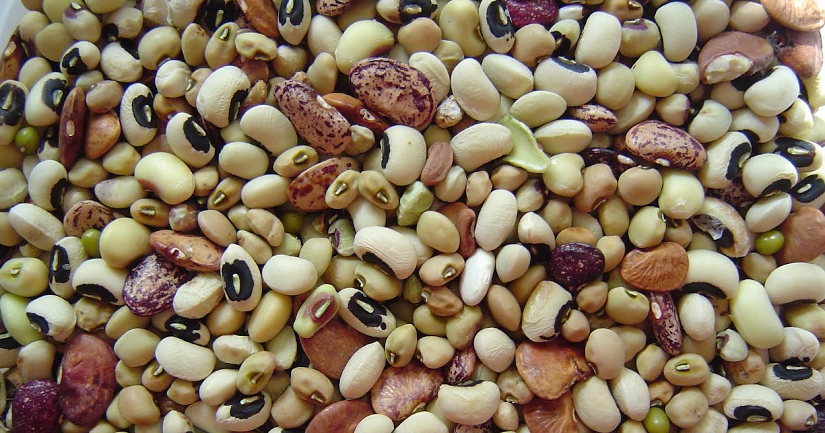 What a Healthy Family Eats: Shucking Beans on a Friday Night