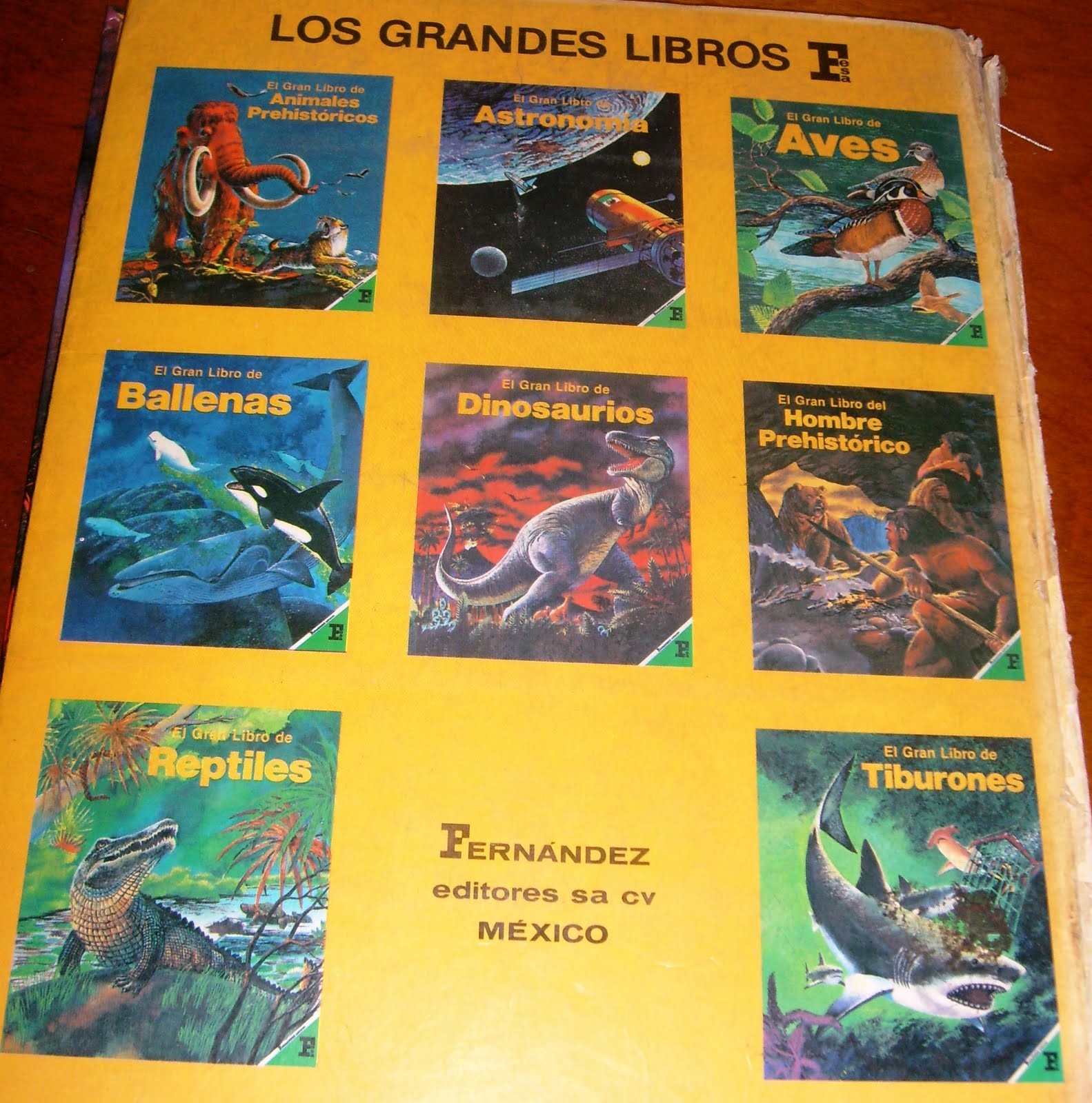 Cool-tura retro. La mejor forma de (re)vivir los ochentas.: El gran ...