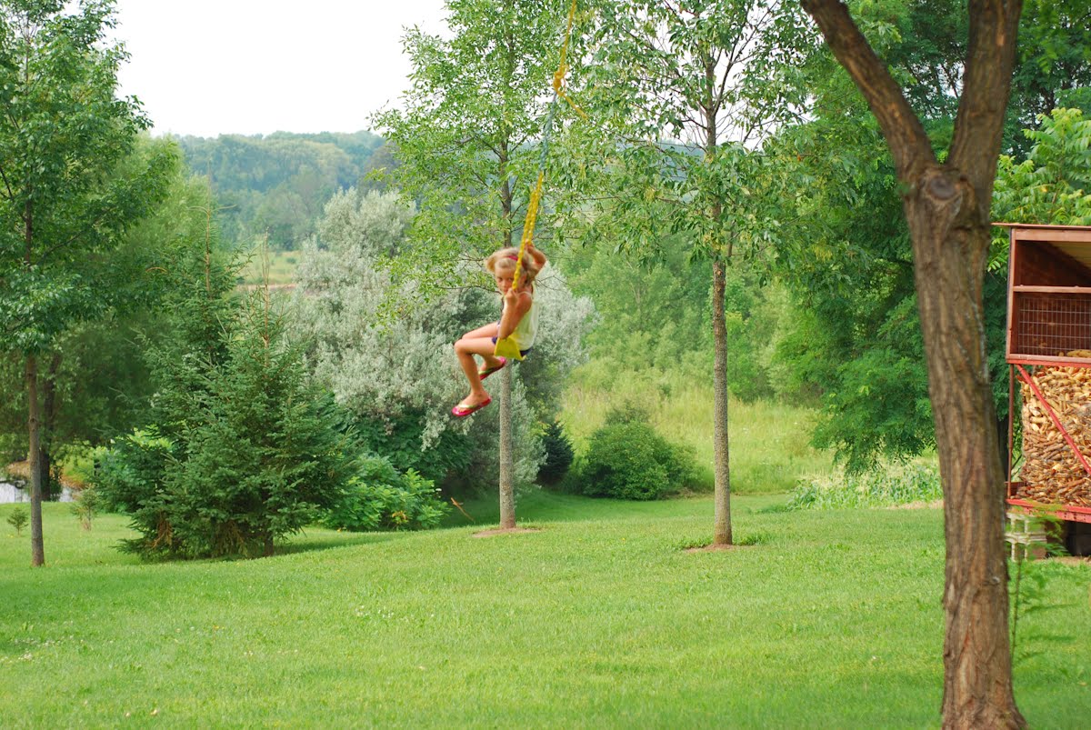 Awesome Tree Swings For Kids 9 Pictures - DMA Homes