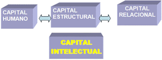 Capital Intelectual: El capital que tienes en tu cerebro