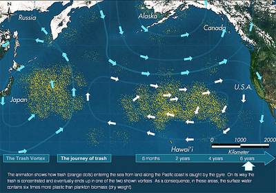 Ocean Pollution: Currents Of Garbage Patch