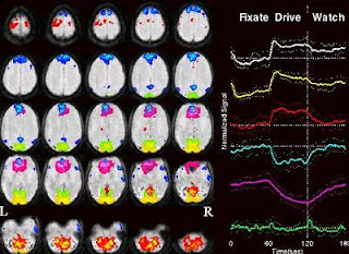 Rizal's Shade...making meaning...: Qur’an speaks about lie detectors