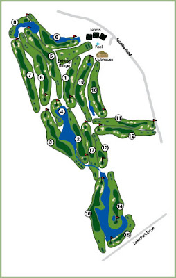 Tony Dodie O' Neal's Blog: Gold against emerald means water savings for ...