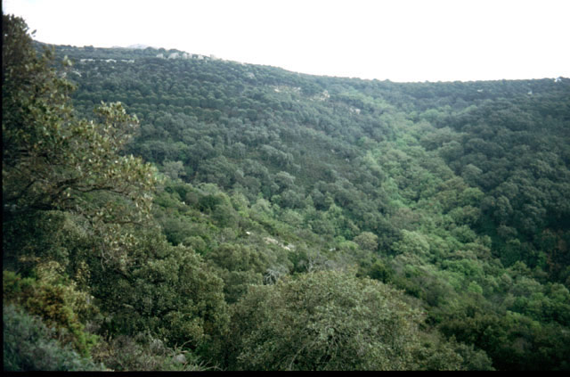 Ambiente Rural: Definicion de rural