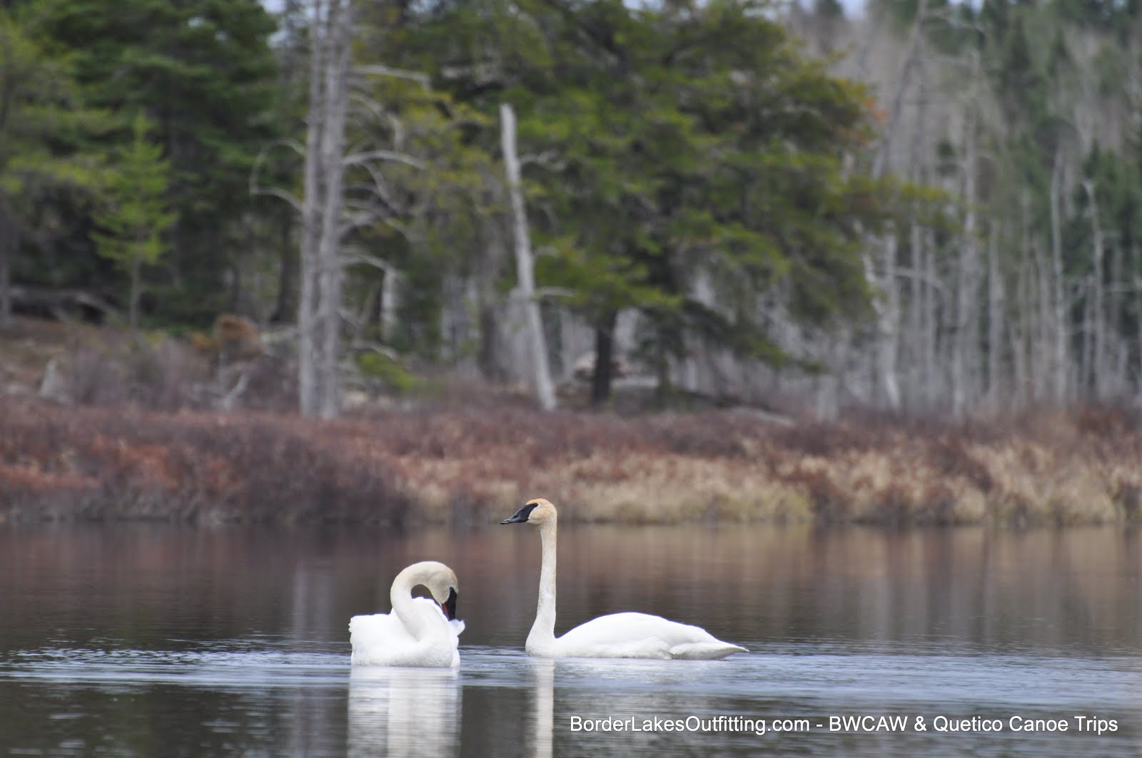 Boundary Waters Blogger: March BWCAW Canoe Trip