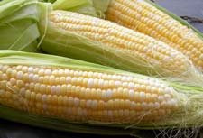 Green Corn Ceremony: Green Corn Ceremony