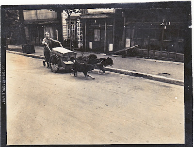 Old Dogs: Japanese Street Sweeper?