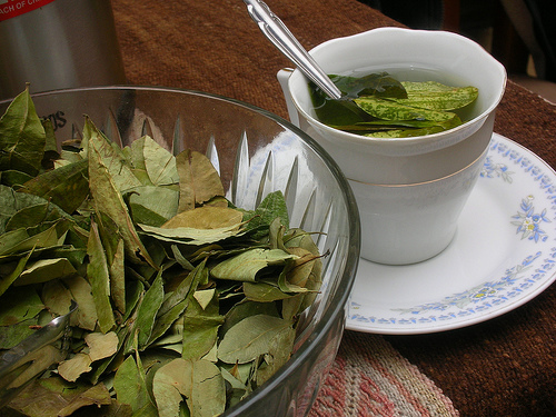 LA HOJA DE COCA EN EL PERU: Hito 2: Propiedades medicinales de la hoja ...