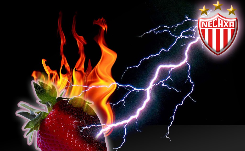 Wallpapers Necaxa Campeón