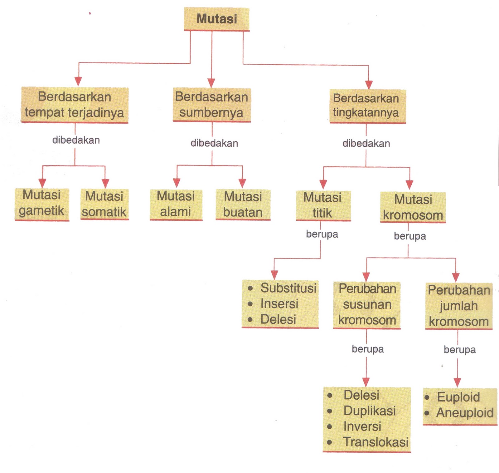Biology on Demand: Mutasi