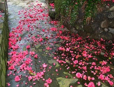 Haiga 俳画: HAIKUS: NUESTRO QUERIDO PUEBLO CHILENO ( II )