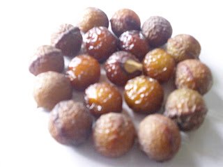 Lerak Soapnut: Buah Lerak (Sapindus Mukorossi) / Soapnut