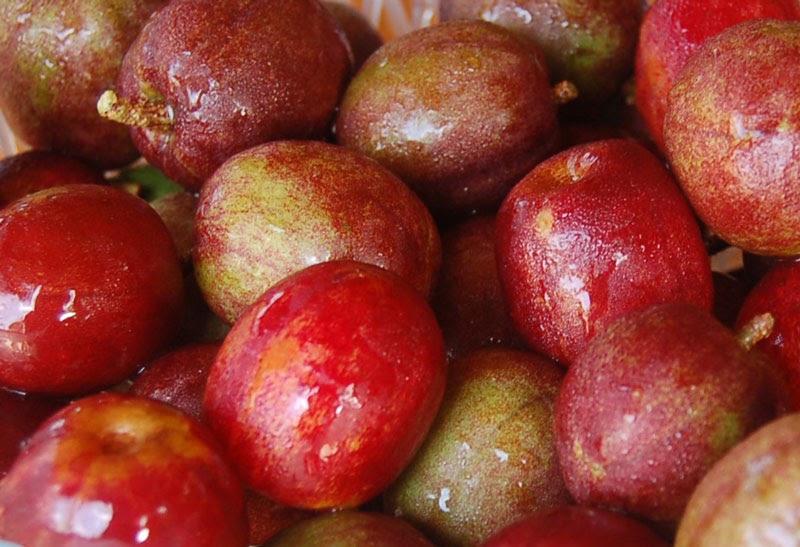 Dumaguete Philippines: Sineguelas, Food of the Gods