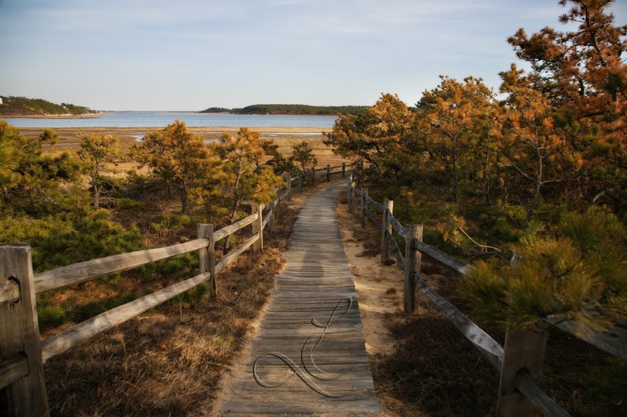 Clough's-Lines: Great Island Trail