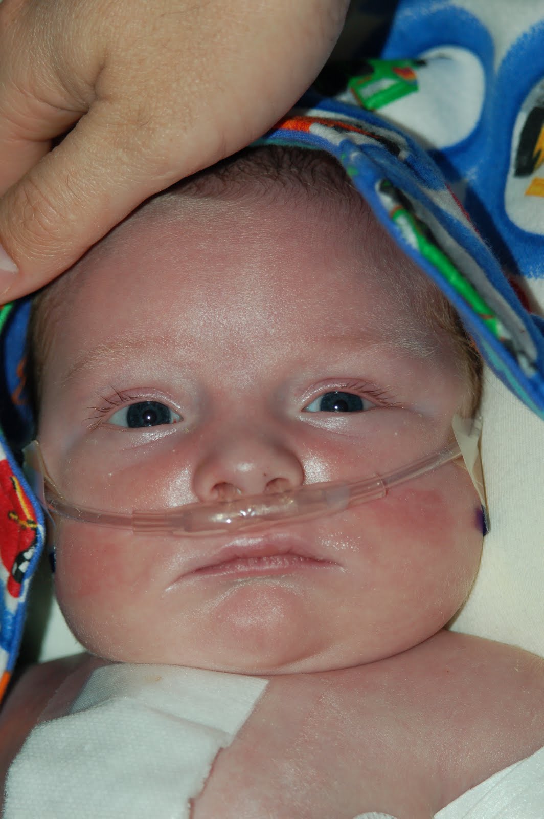 Baby David
