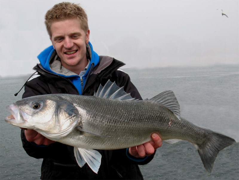 Zeebaarsshop.nl Blog - Dutch Bass Fishing: Eerste zeebaars 2010, en wat ...