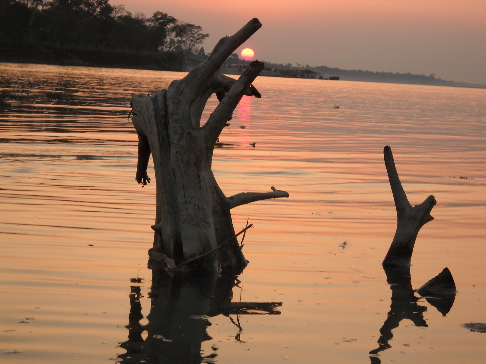 Rainforest of Assam: PHOTO GALLERY