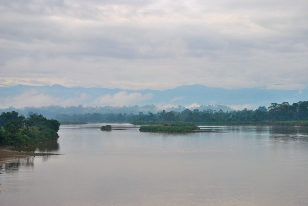 Rainforest of Assam: PHOTO GALLERY