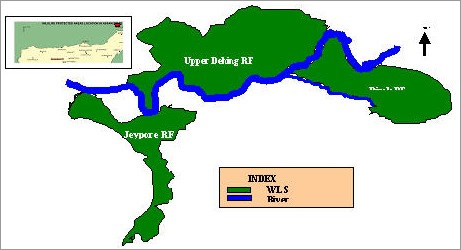 Rainforest of Assam: ABOUT US