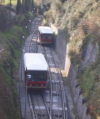 TRANSPORTES FERRICOS FUNICULARES