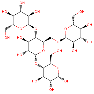 Bio Scavenger Hunt: Glycogen