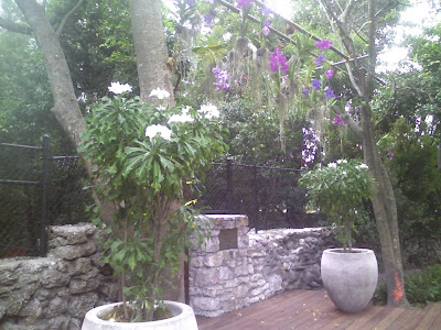 305 Misadventures in the MIA: Simpson Park Hammock