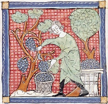 The new look...in honor of my new WIP