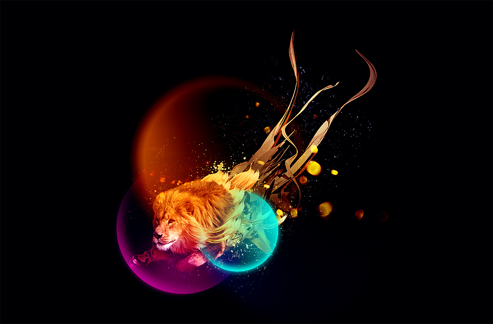 Digital Art Wallpapers,Poze Desktop Animale - Poze Imagini Desktop