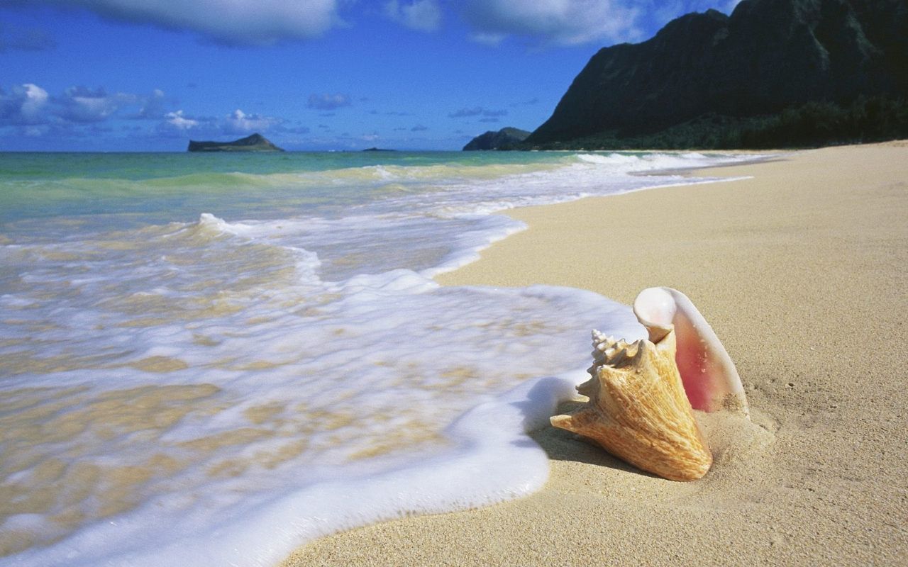 Photos from Oahu Island, Hawaii ~ World Travel Destinations